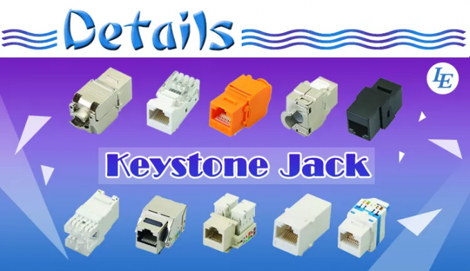 CAT6 UTP RJ45 Coupler Keystone Jack For Networking Patch Panel